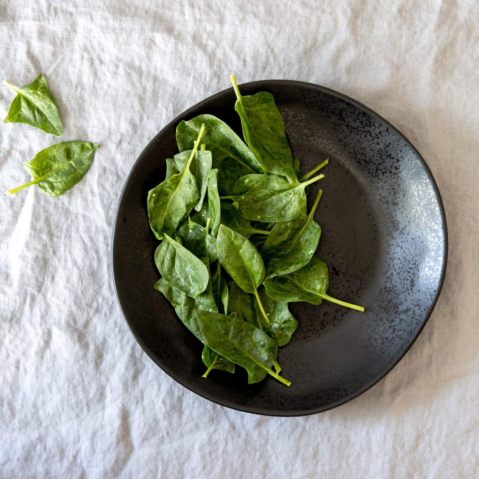 The Science Behind The Health Benefits Of Leafy Greens - SOL + SPIRIT