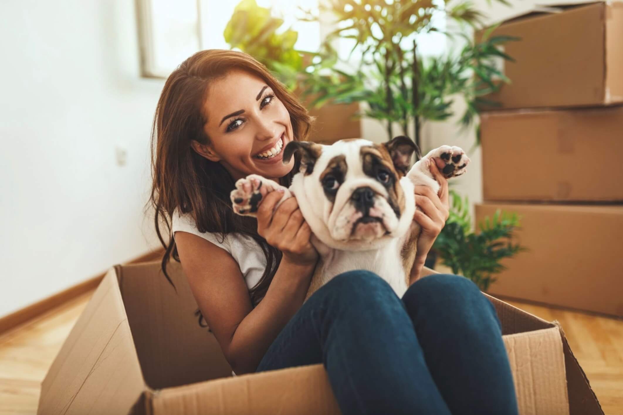 10 Ideas For Relocating With Your Fur Babies - SOL + SPIRIT